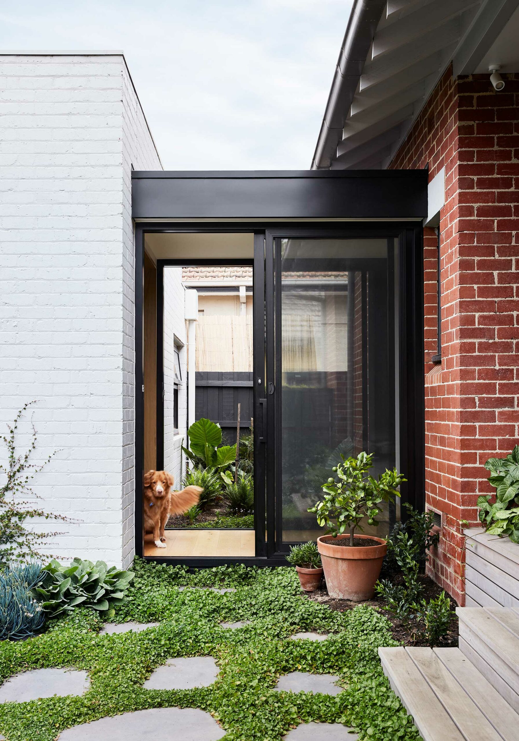 Garden House | Maike Design | Californian Bungalow reimagined